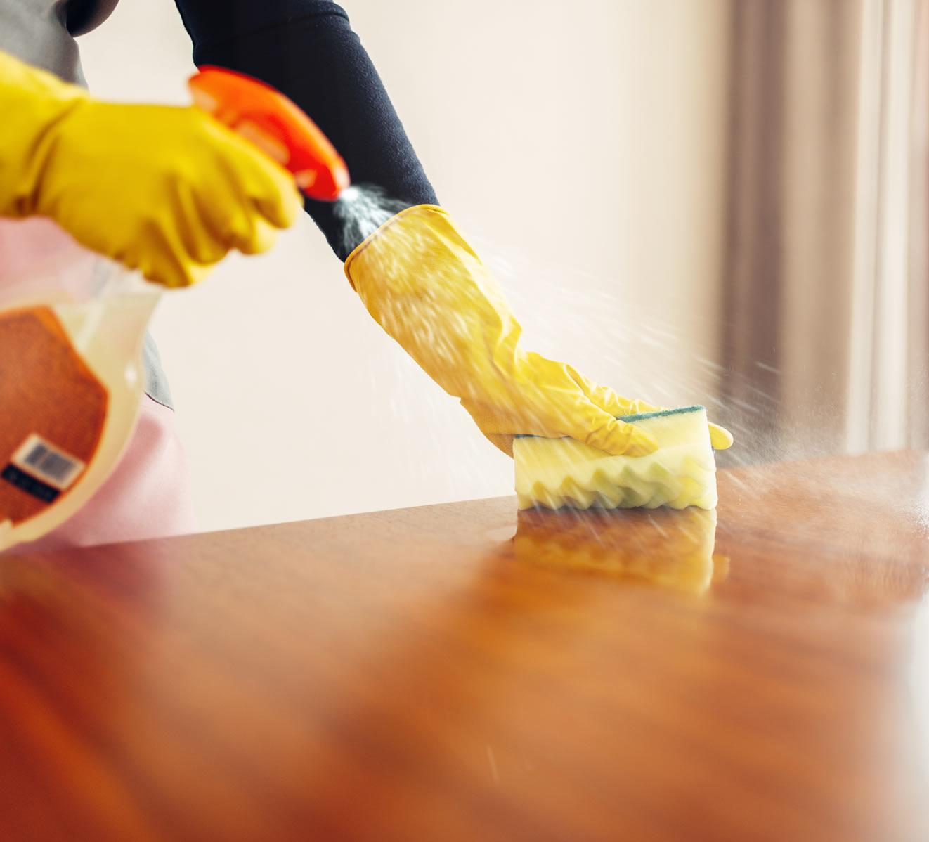 Services - Shiny Cleaning Services - Marin House Cleaning