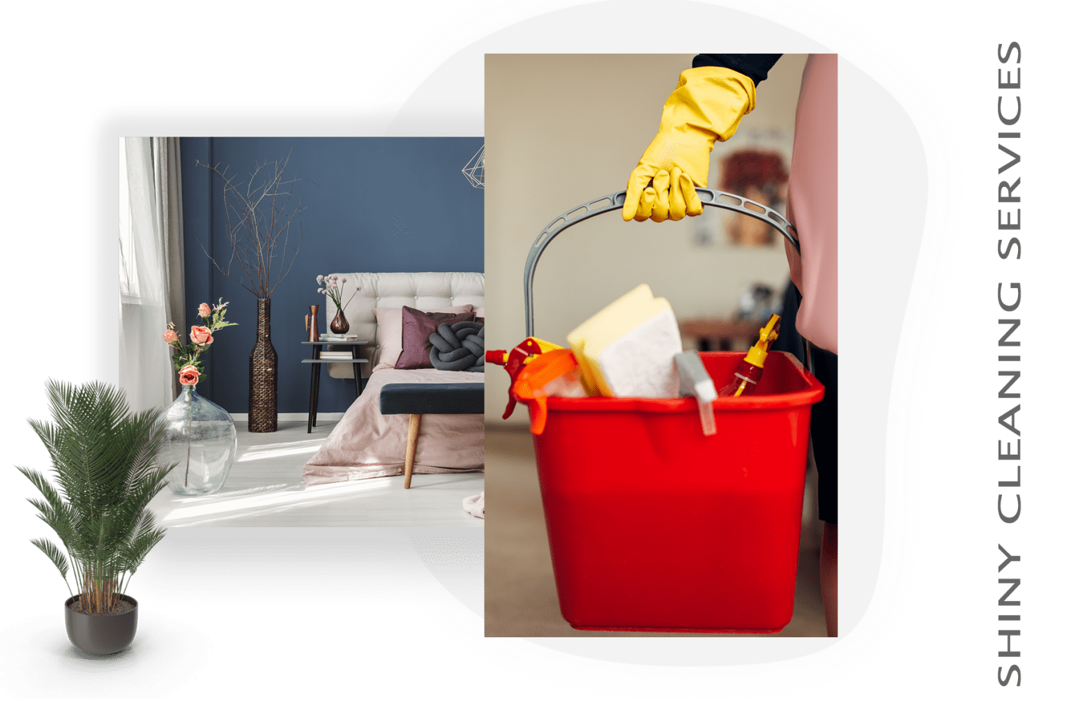 House Cleaning Services in Marin County - Shiny Cleaning